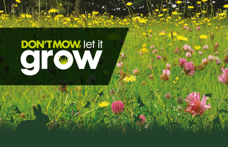 Site Selection Strategy - Don't Mow Let It Grow Toolkit